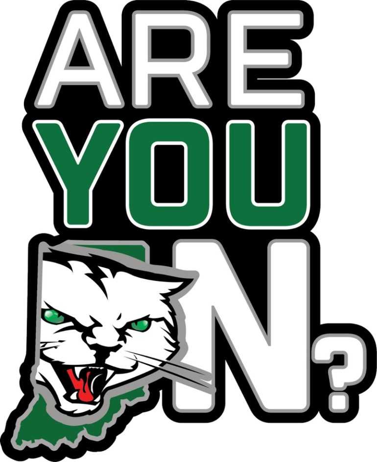 Sarah Browning - Indy Arts Council